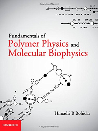 Fundamentals of Polymer Physics and Molecular Biophysics eBook ...